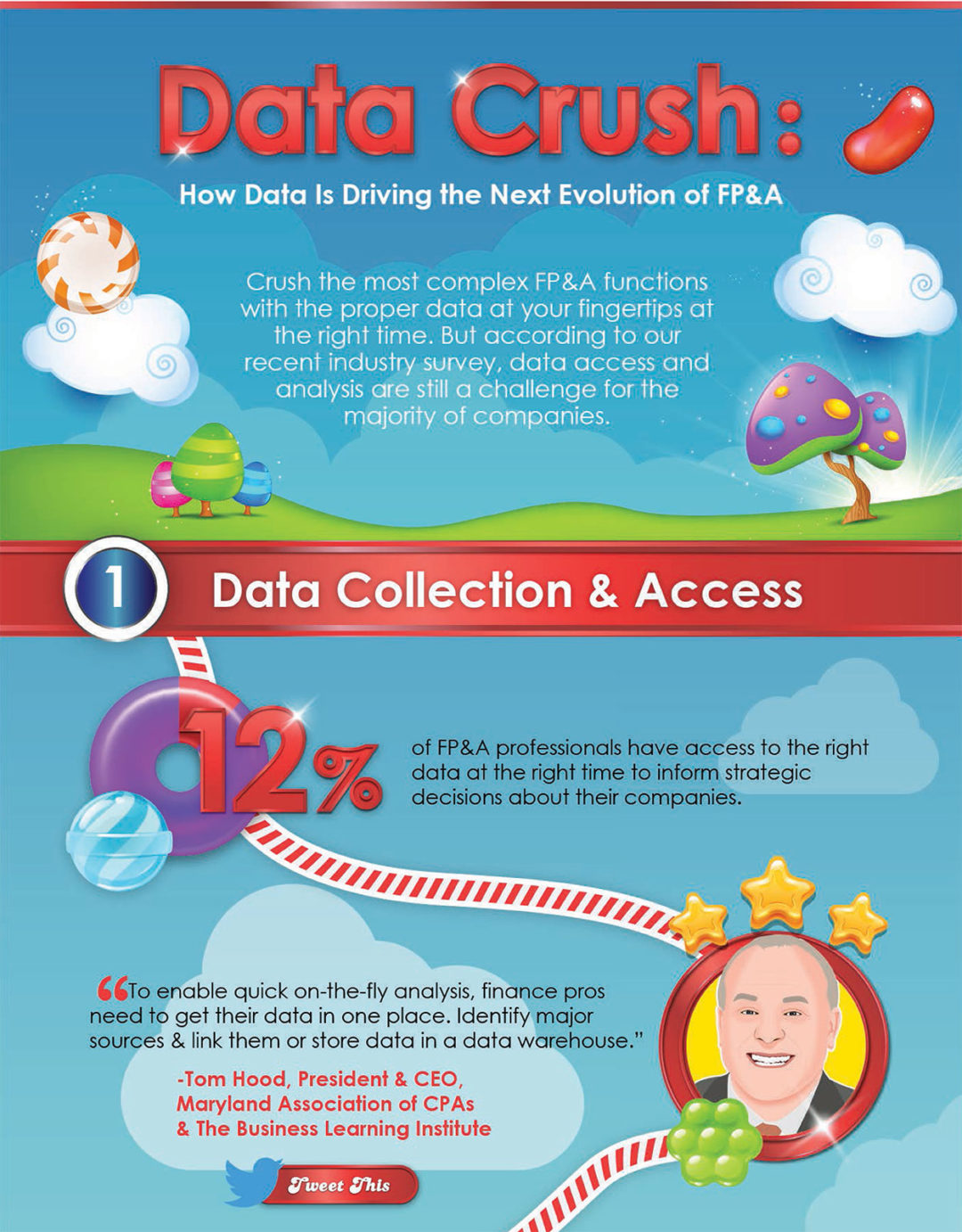 data-crush-infographic | Prophix Software